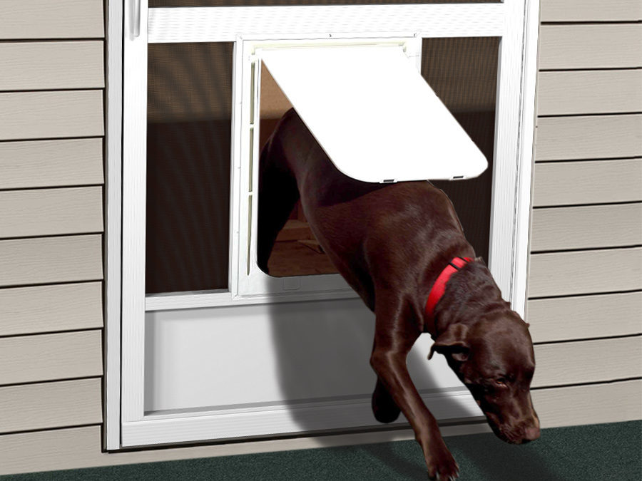 Pet Doors Screen Door With Pet Door Dog Screen Doors PCA Products Pet Doors Screen Door With Pet Door Dog Screen Doors PCA Products